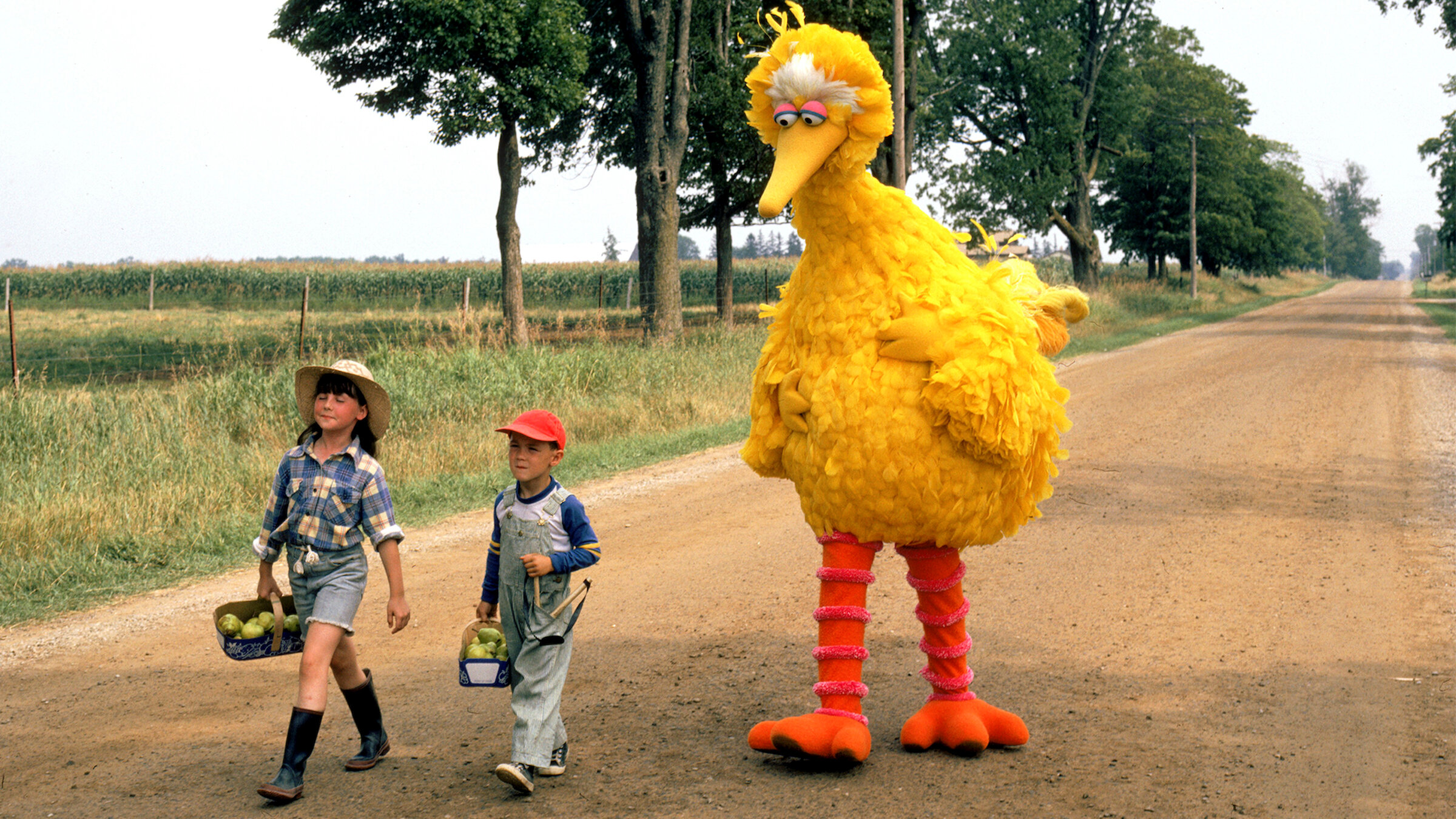 Sesame Street Big Bird Movie