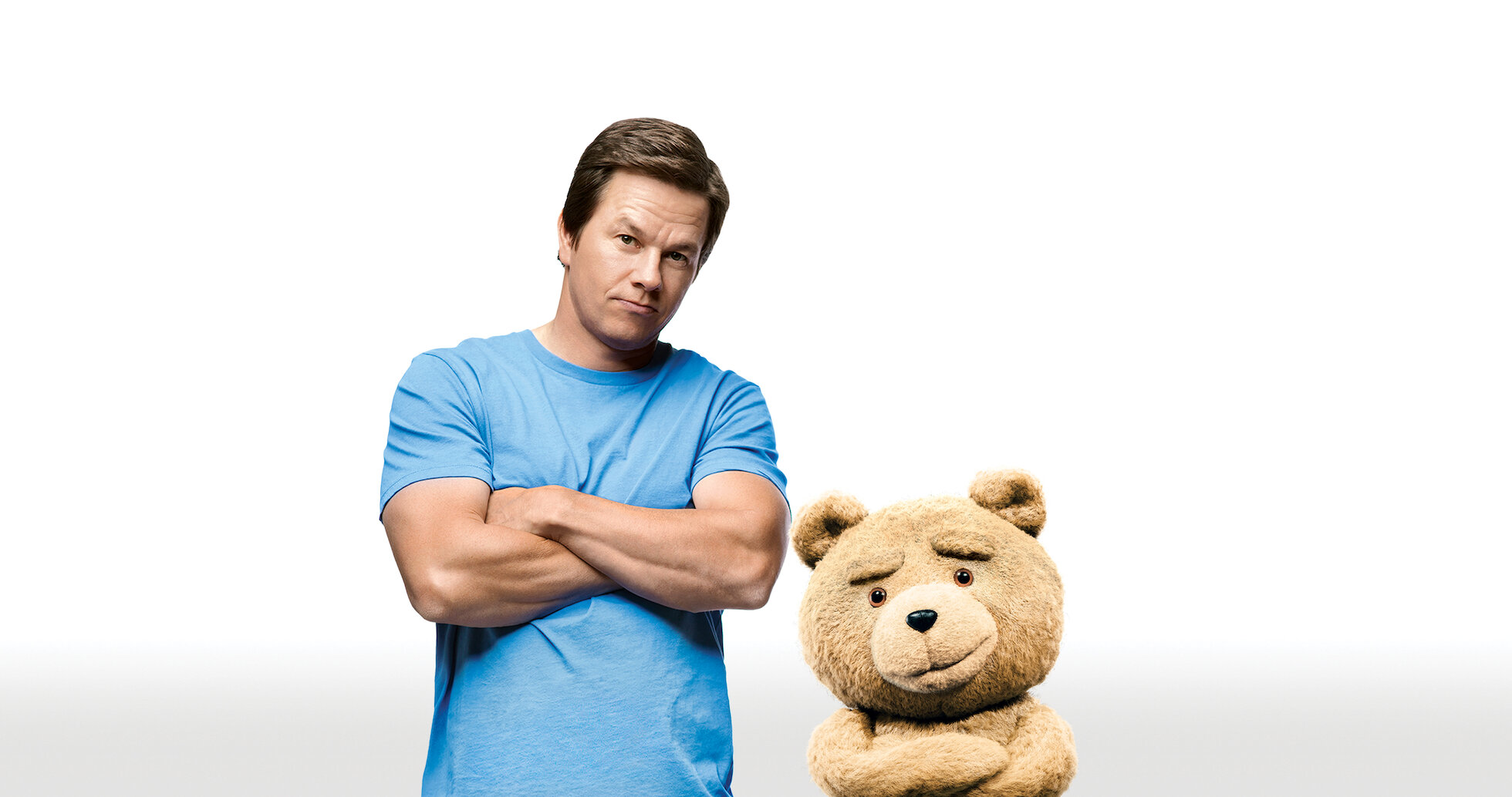 Ted 2 Release Date NEW TED 2 THE BEAR PLUSHY, Hobbies & Toys, Toys