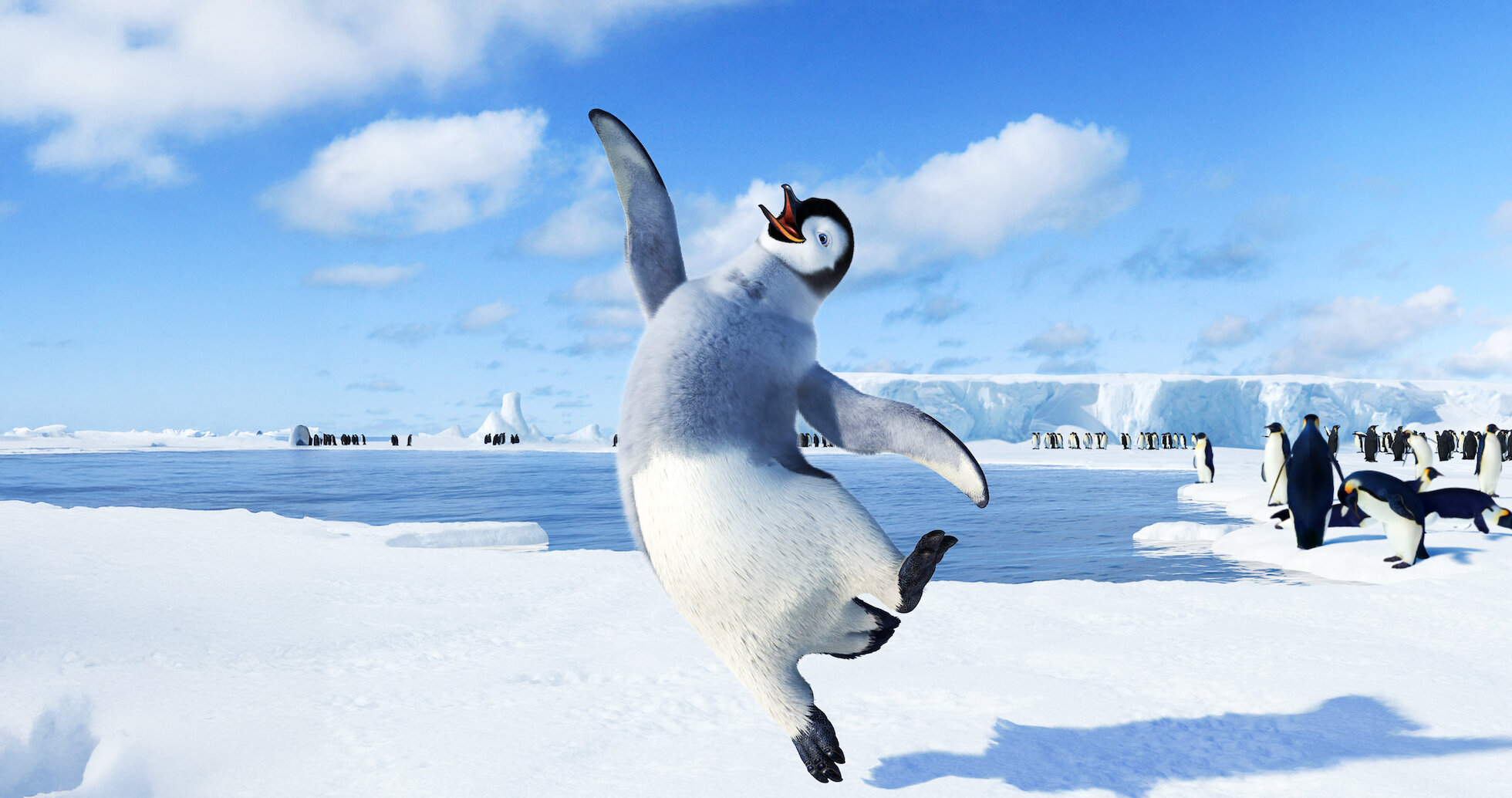 Cartoon Picture Happy Feet